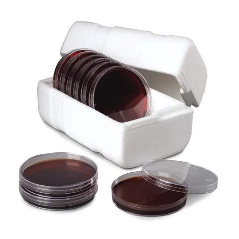 Marketlab-15384 Petri Dish Mailer | Secure Laboratory Transport