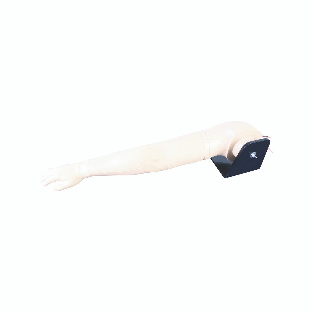 The Anatomy Lab Advanced IV Training Arm | A-112558 | Simulation & Training