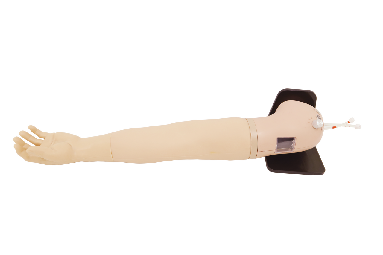 The Anatomy Lab Advanced Arterial Puncture Arm | A-112559 | Simulation ...