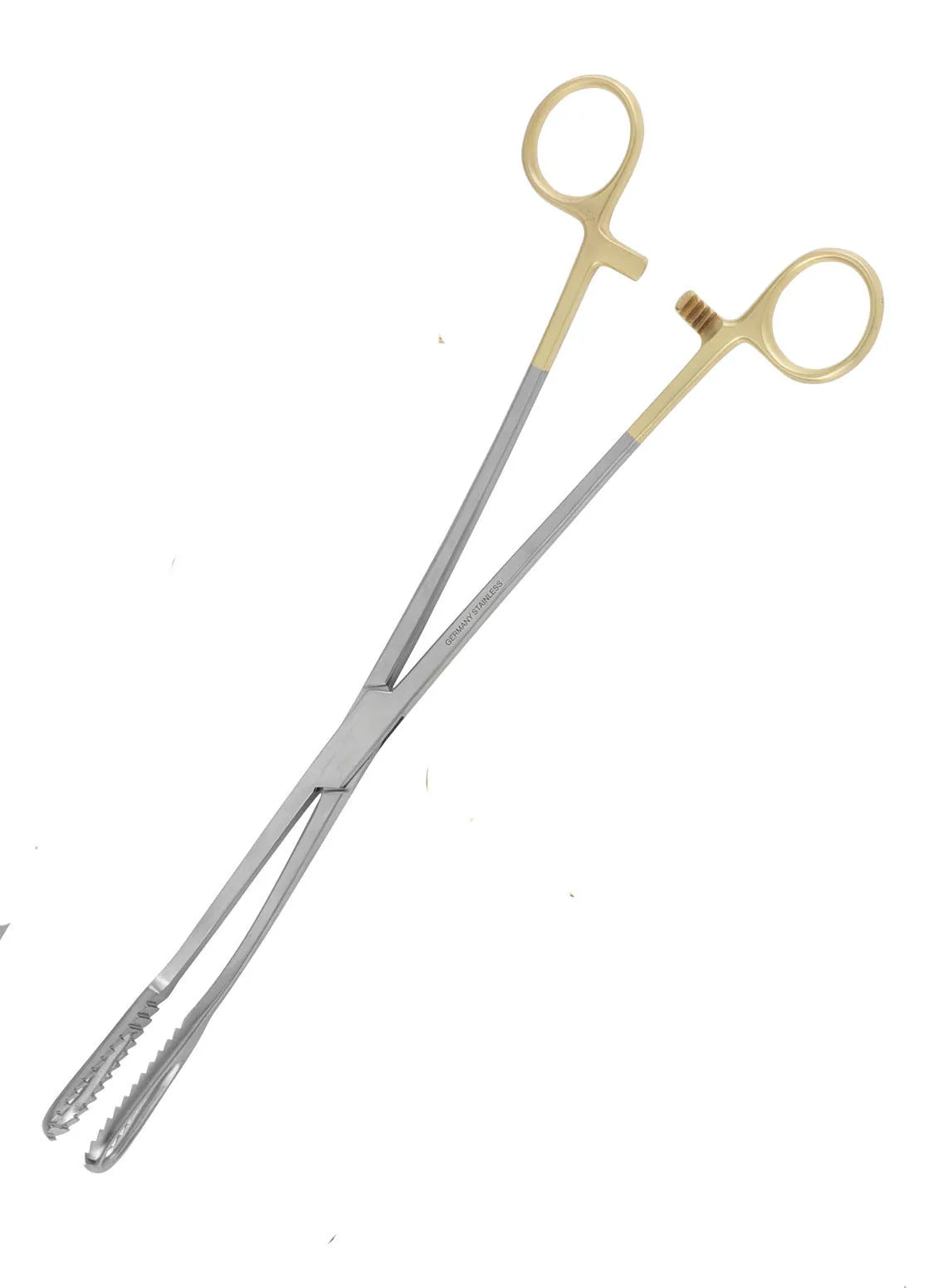 MedGyn – Agadi-Bierer Ovum Forceps | High-Precision Gynecological ...