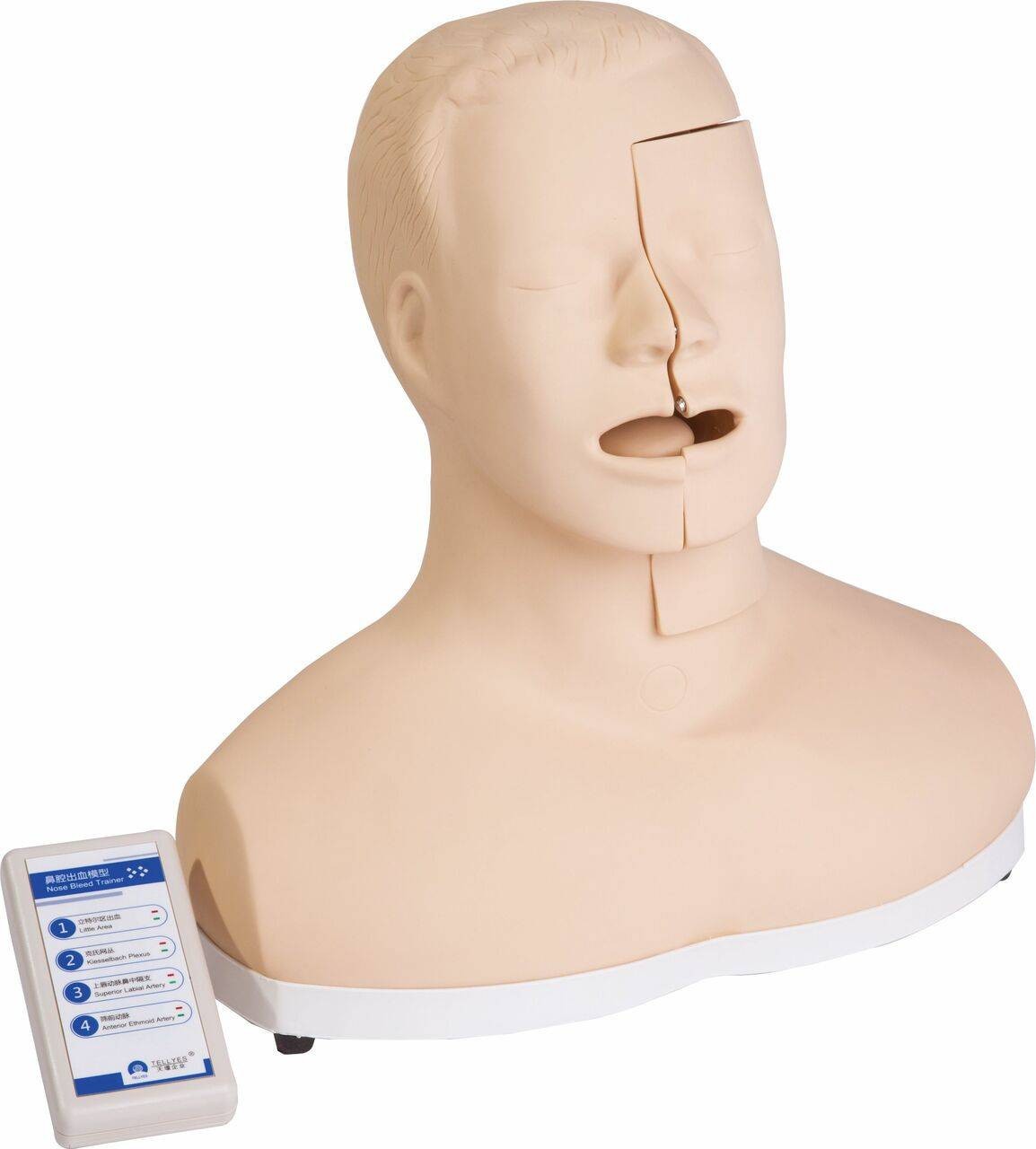 The Anatomy Lab Epistaxis Simulator | A-106797 Nose-Bleed Training Model