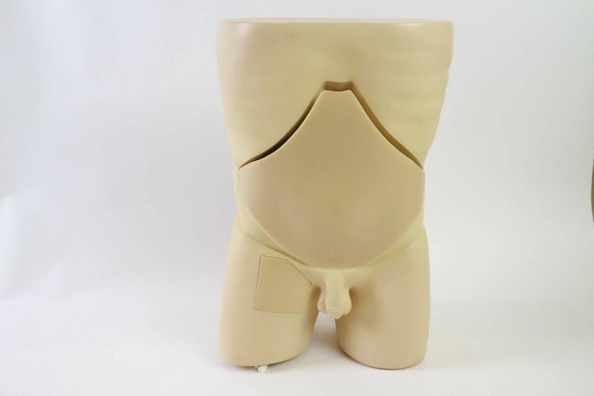 The Anatomy Lab-A-108515 Femoral Arteriovenous Puncture ...