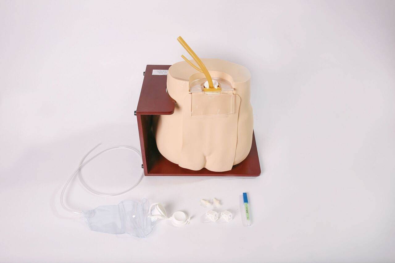 Anatomy Lab A-104468 Lumbar Puncture Simulator, 1/ea – Adult Lumbar ...